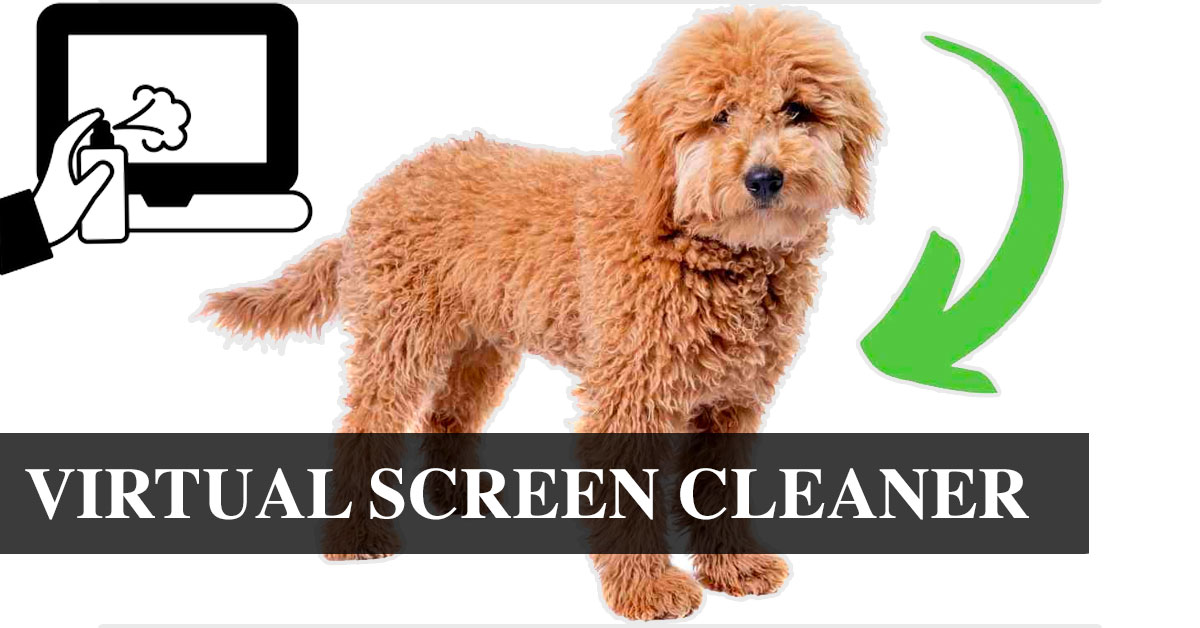 Virtual Cat Screen Cleaner